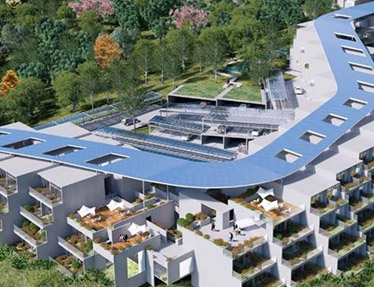 Edificadora- Proyectos