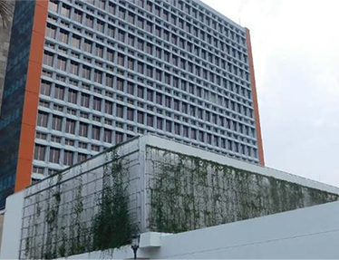 Edificadora- Proyectos